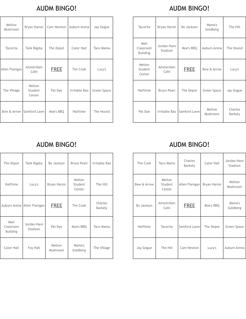 AUDM BINGO! - WordMint