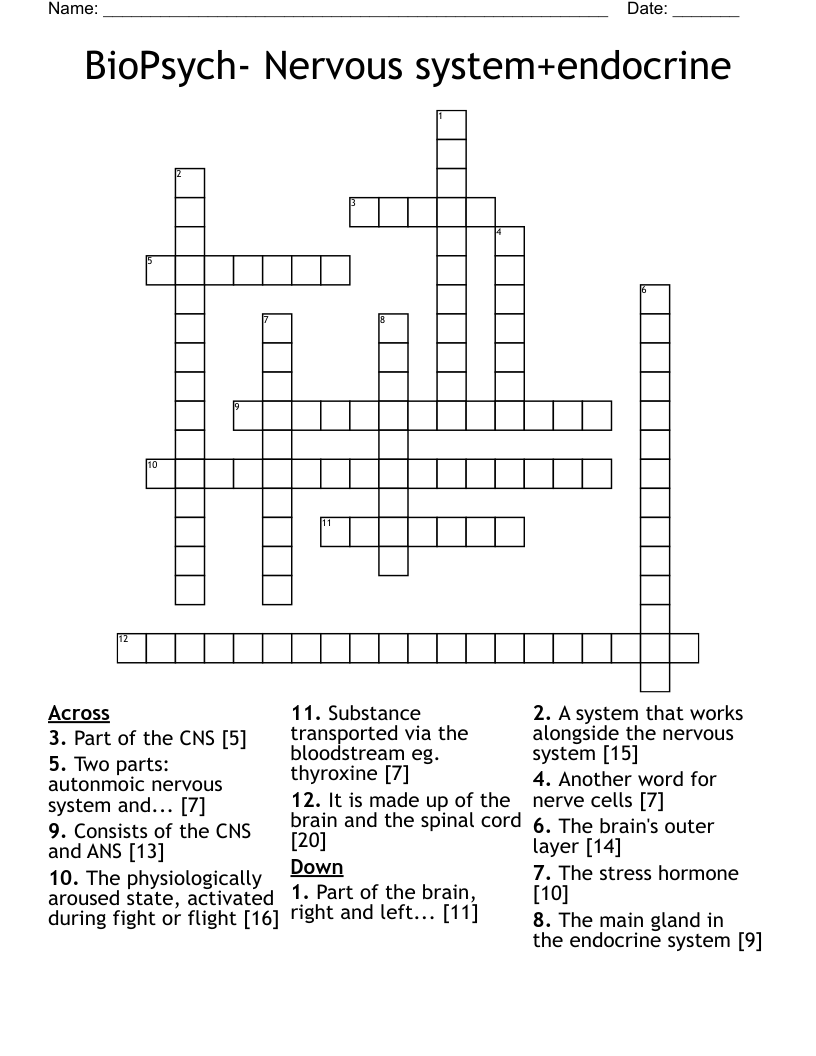 BioPsych- Nervous system+endocrine Crossword - WordMint