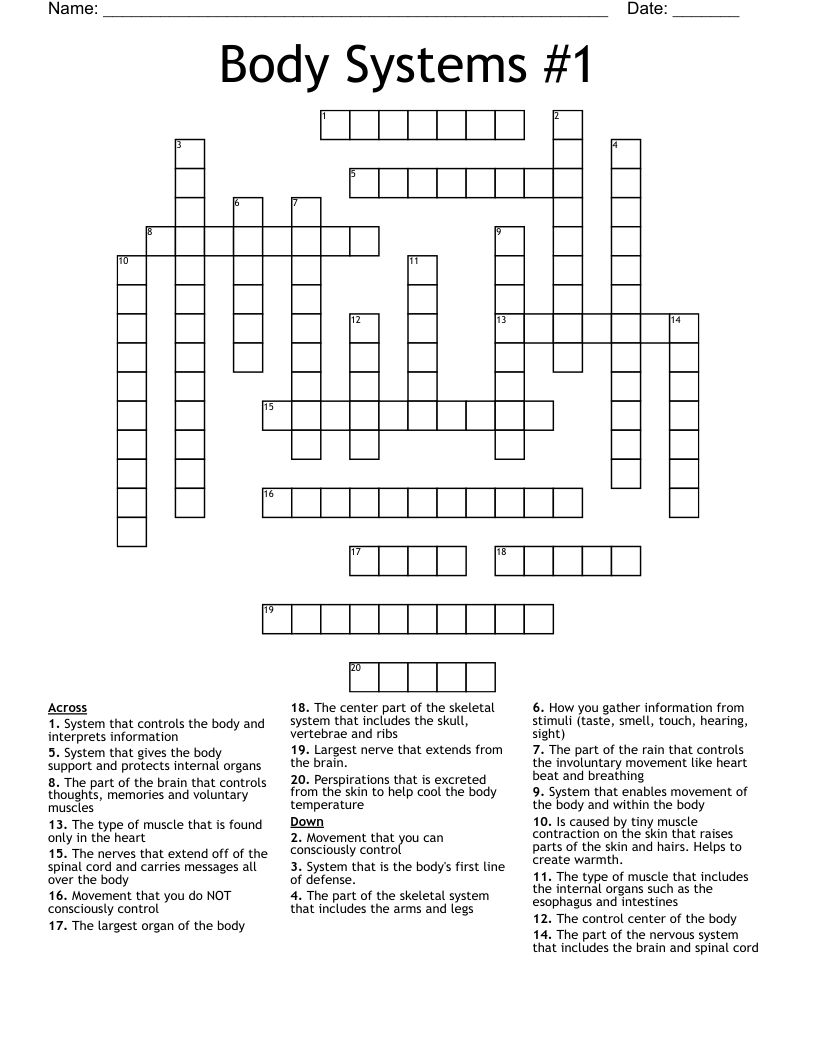 Body Systems #1 Crossword - WordMint