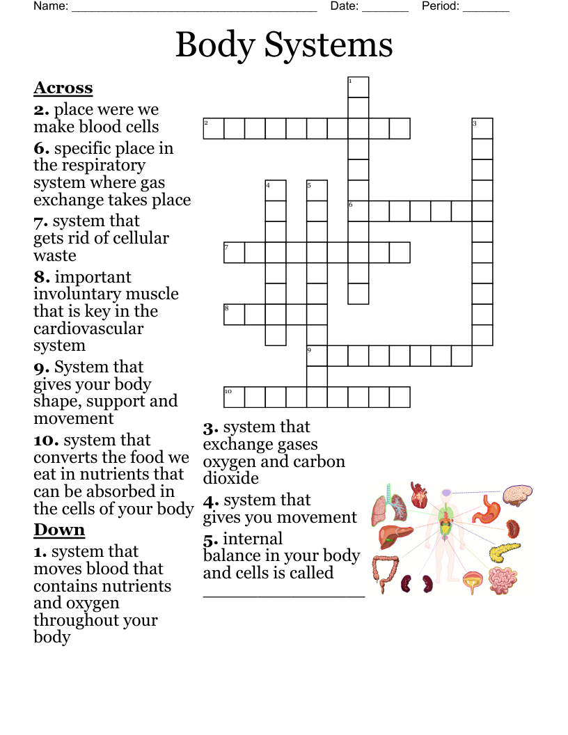 Tissue organs system Continue Word Scramble WordMint