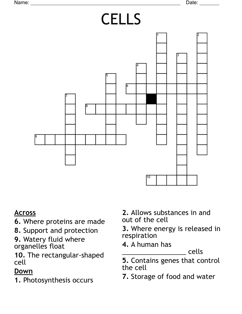 CELLS Crossword - WordMint
