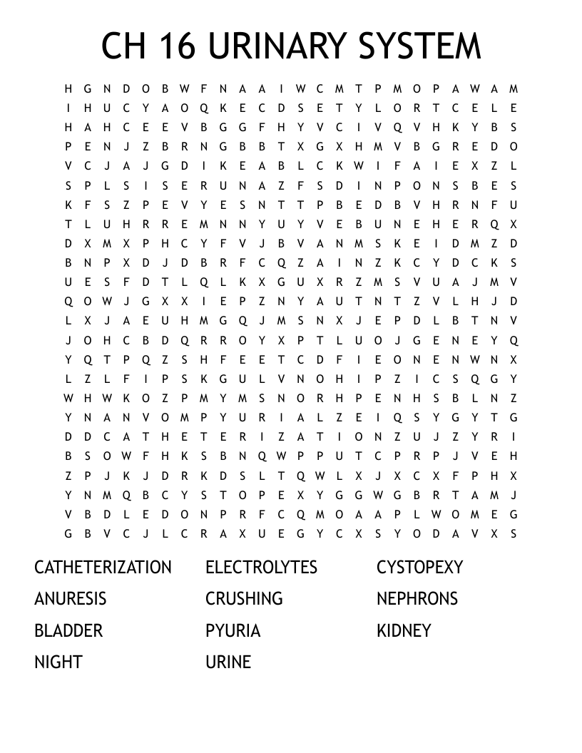 CH 16 URINARY SYSTEM Word Search - WordMint