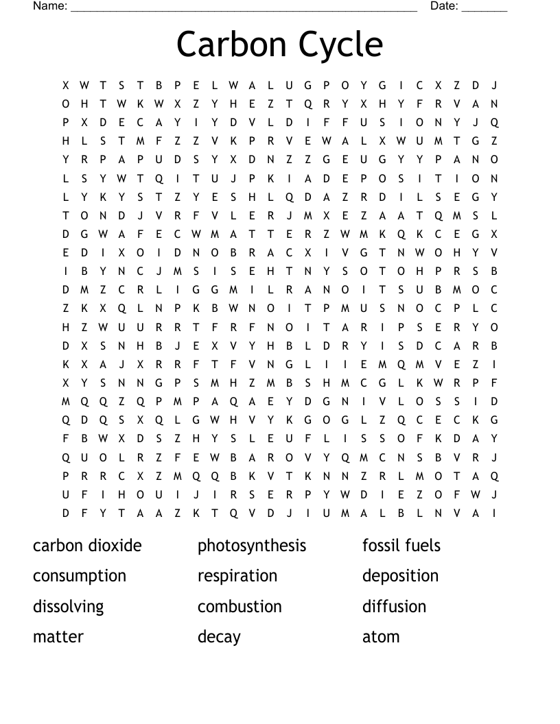 Carbon Cycle Word Search - WordMint