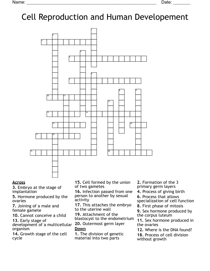 Cell Reproduction and Human Developement Crossword - WordMint