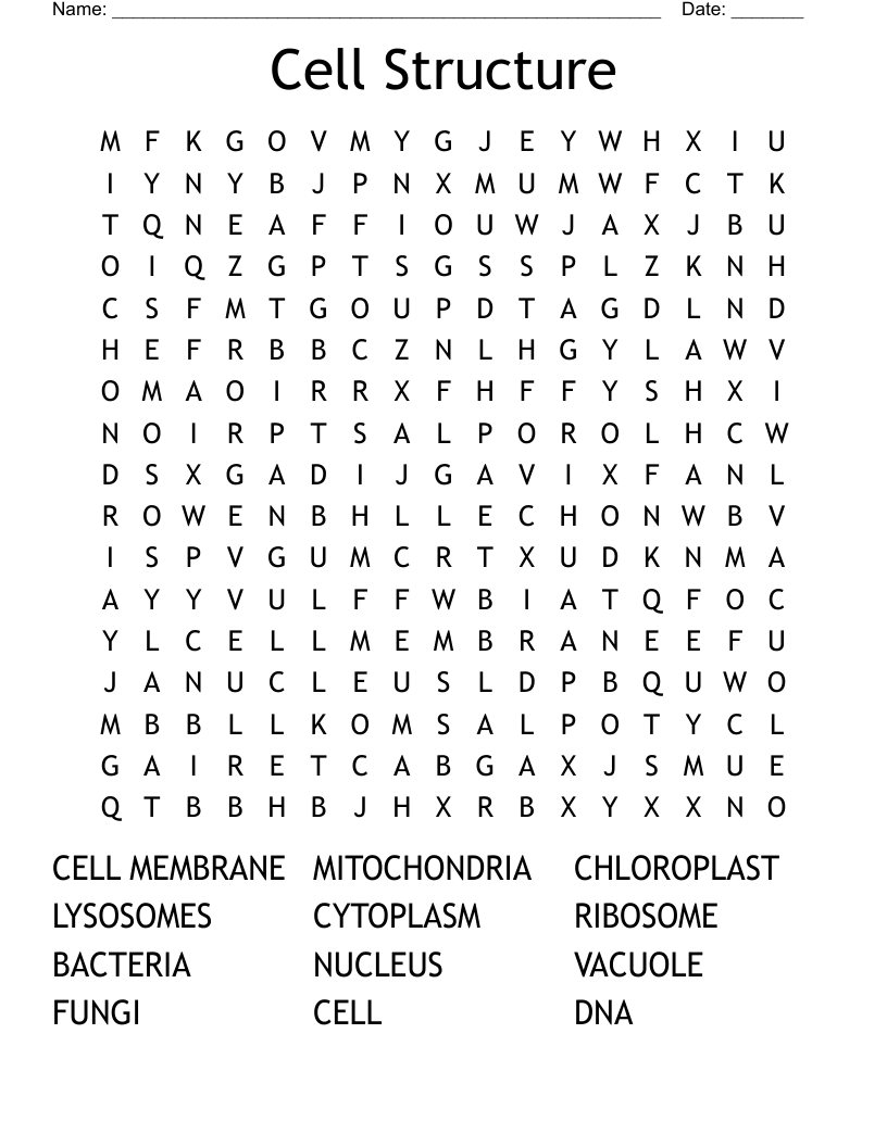 Cell Structure Word Search - WordMint