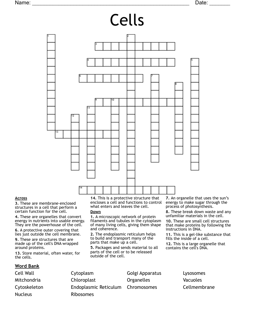 Cells Crossword - WordMint