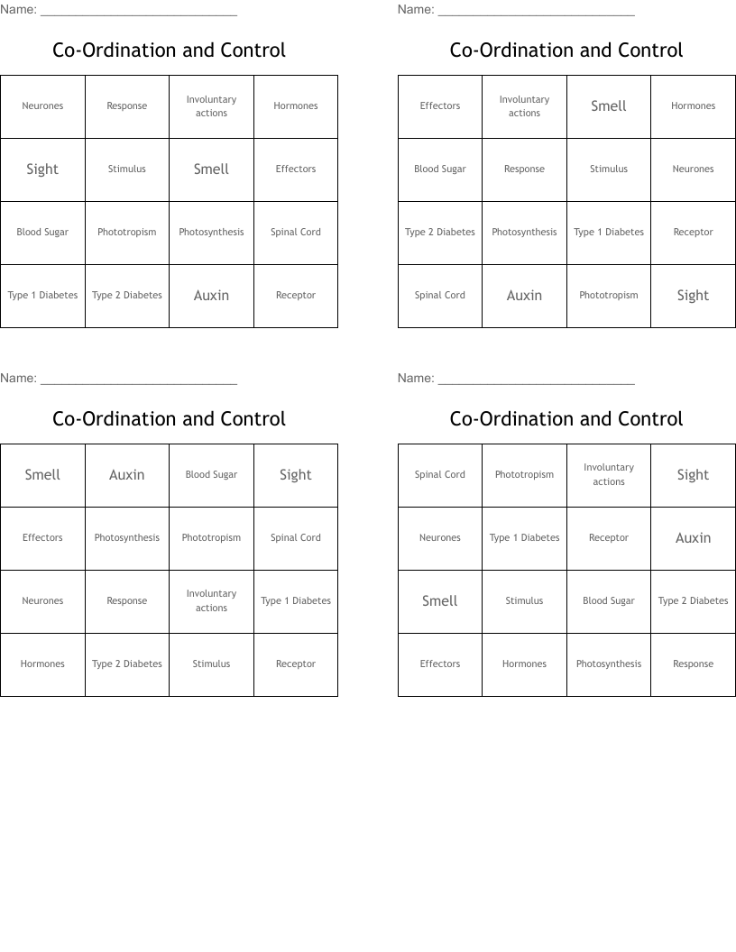 Co-Ordination and Control Bingo Cards - WordMint