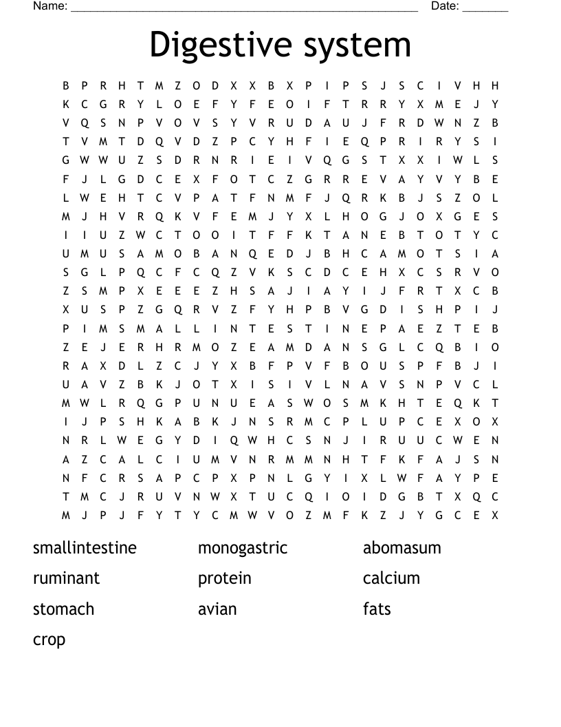 Digestive system Word Search - WordMint