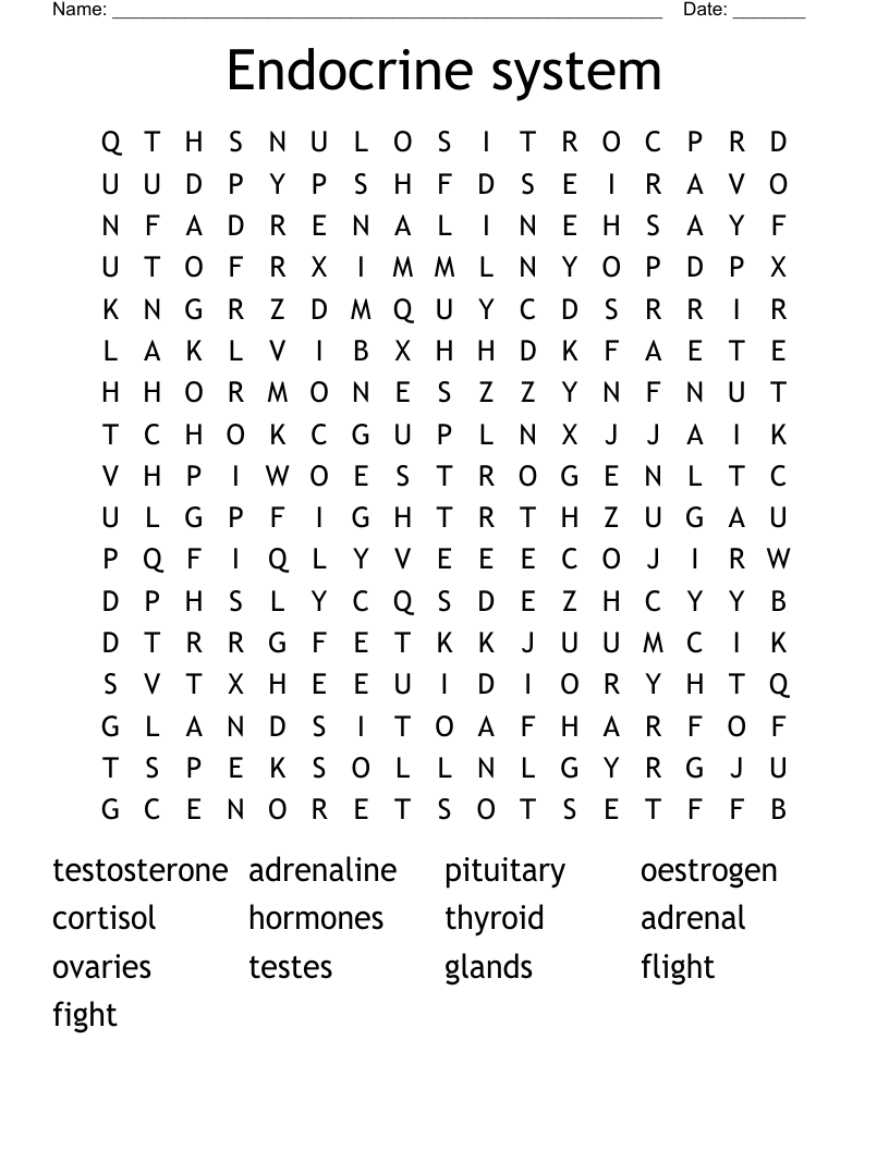 Endocrine system Word Search - WordMint