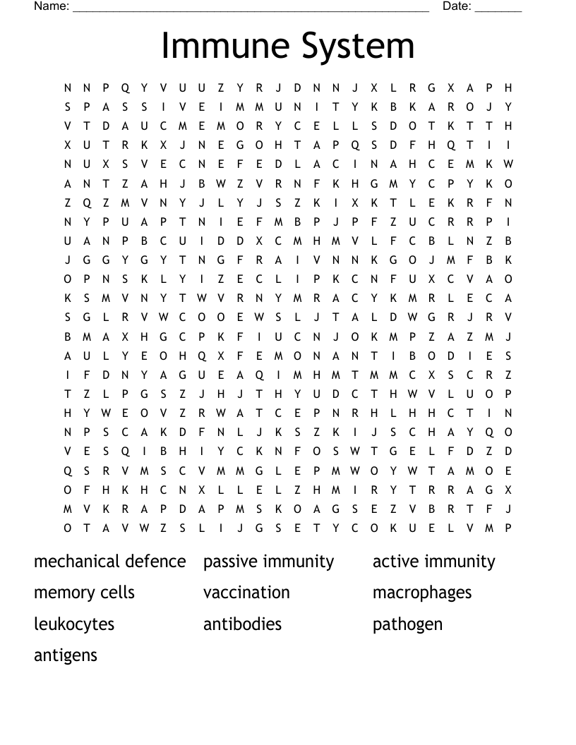 Immune System Word Search - WordMint