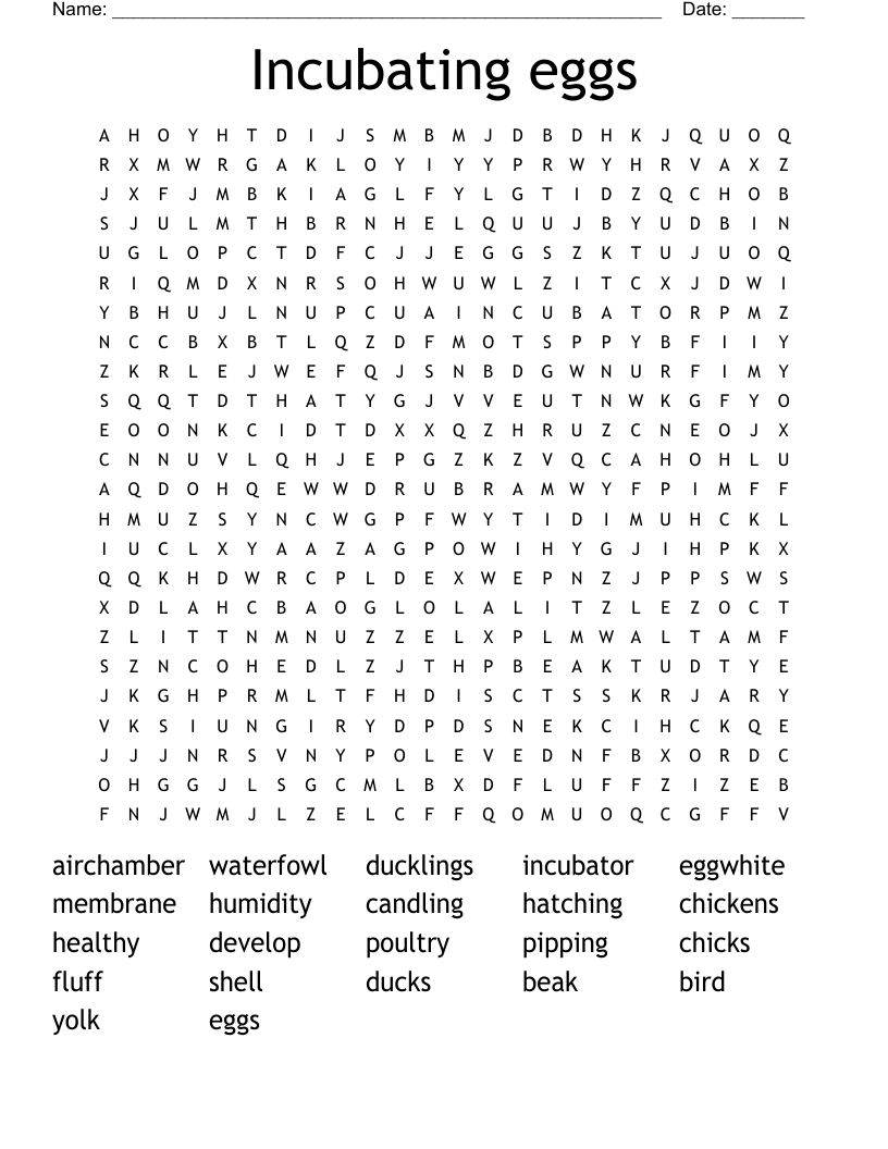 Incubating eggs Word Search - WordMint