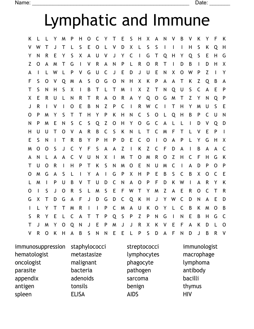 Lymphatic and Immune Word Search - WordMint