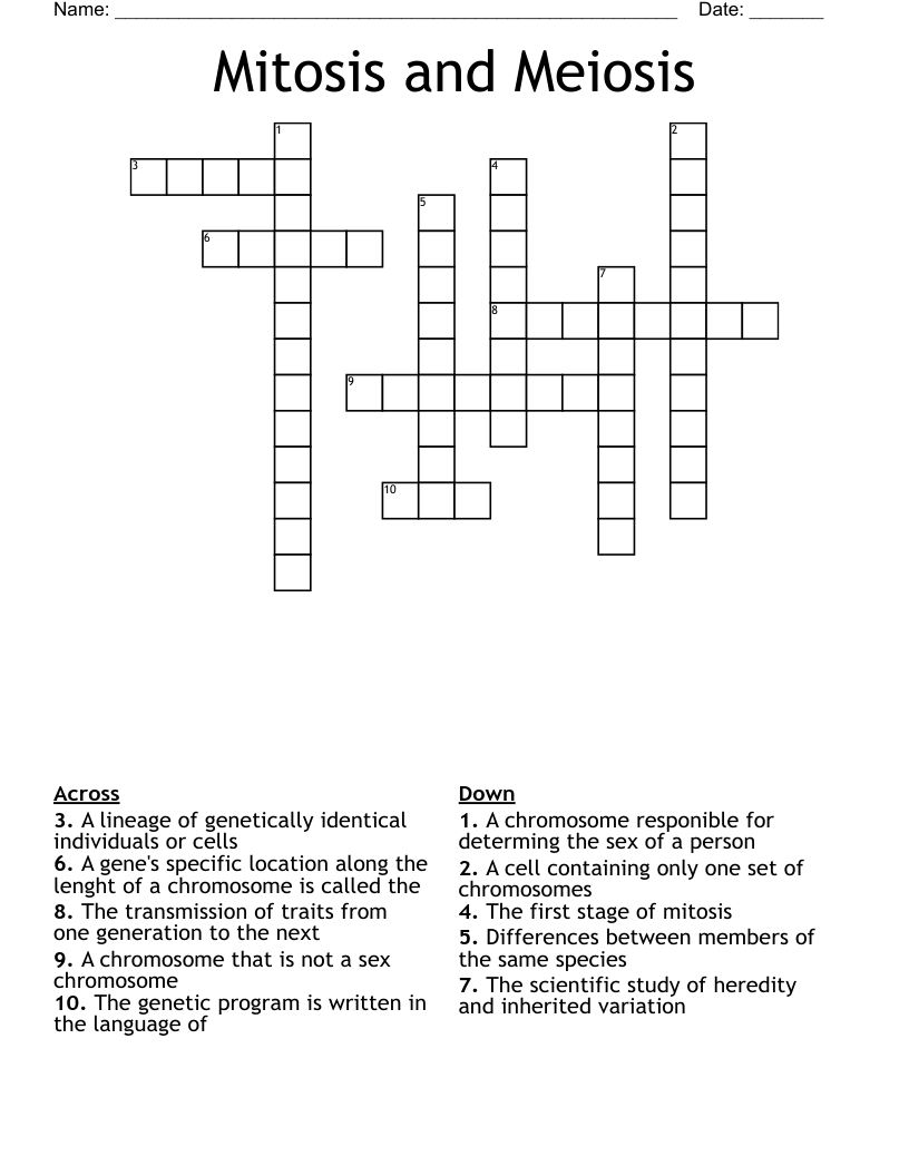 Mitosis and Meiosis Crossword - WordMint