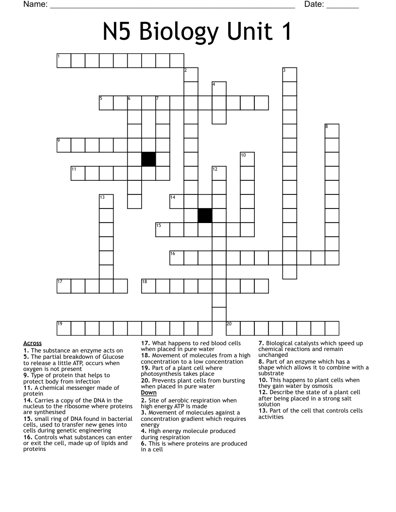 N5 Biology Unit 1 Crossword - WordMint