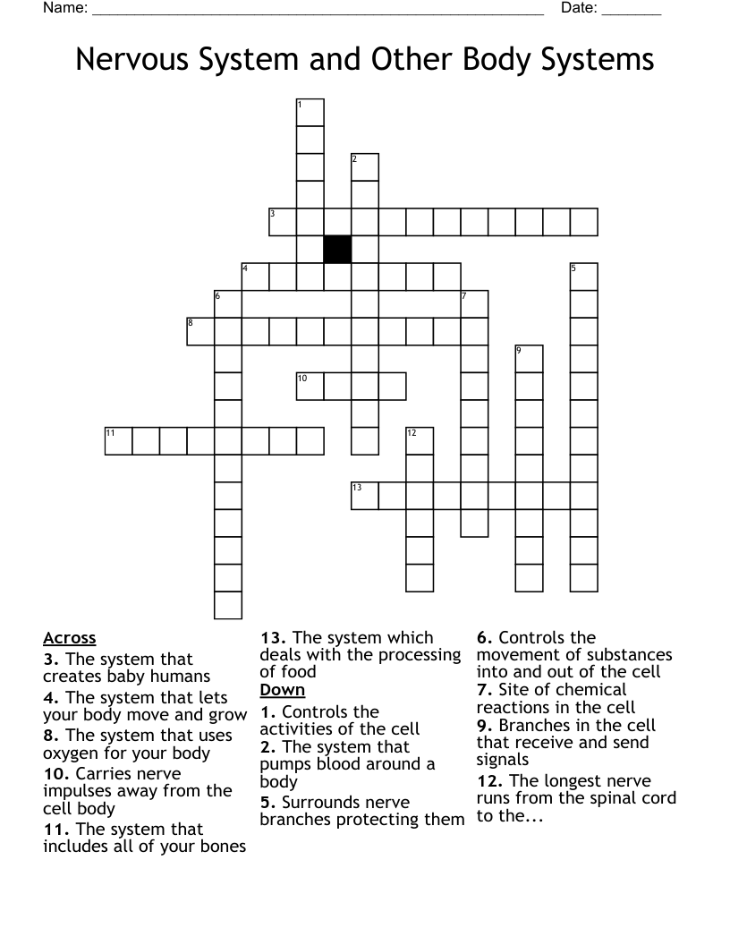 Nervous System and Other Body Systems Crossword - WordMint