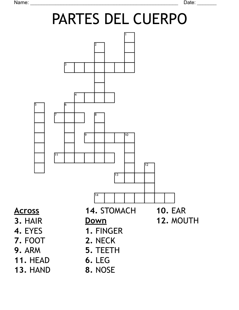 PARTES DEL CUERPO Crossword - WordMint