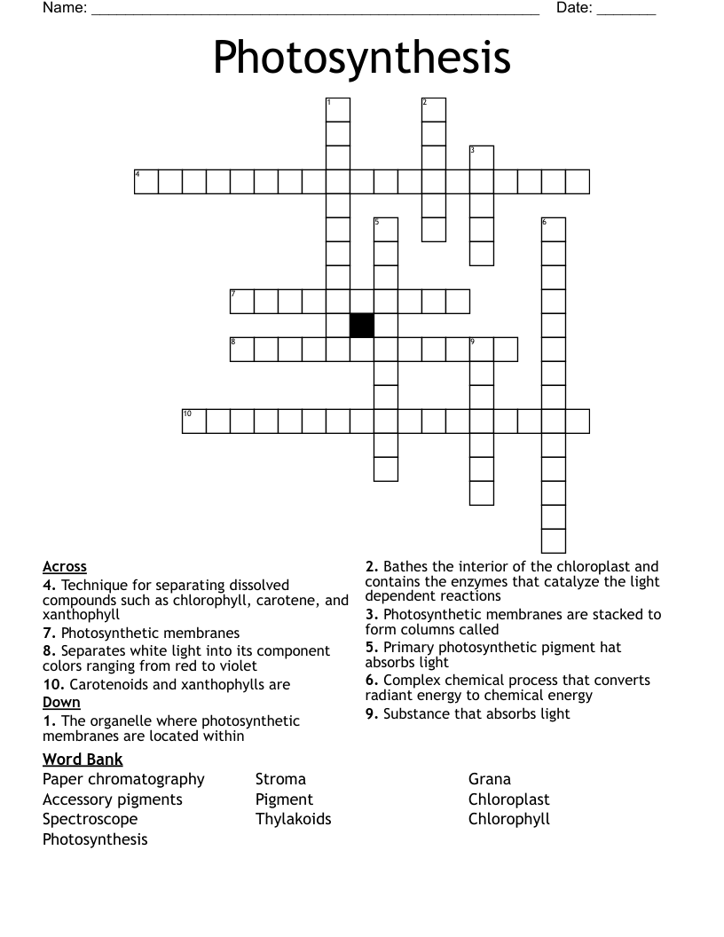 Photosynthesis Crossword - WordMint