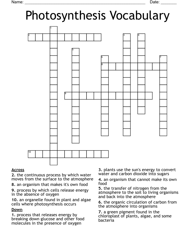 Photosynthesis Vocabulary Crossword - WordMint