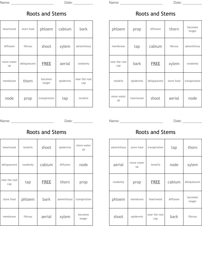 Roots and Stems Bingo Cards - WordMint