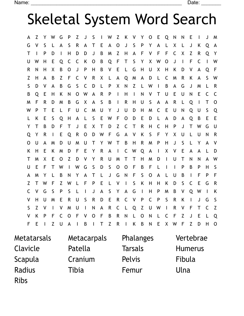Skeletal System Word Search WordMint Skeletal System Word Search WordMint