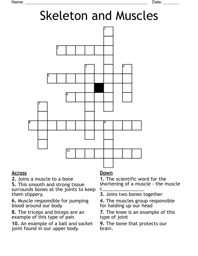 Skeleton and Muscles Crossword - WordMint