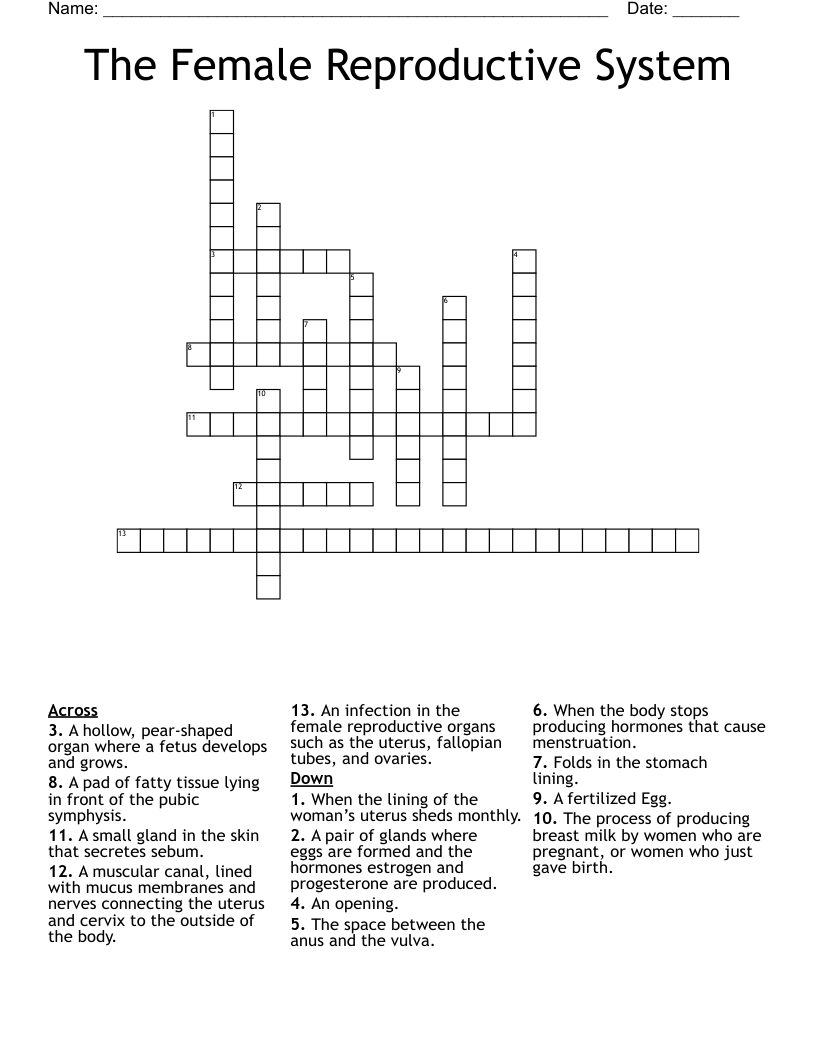 The Female Reproductive System Interactive Worksheet Vrogue co
