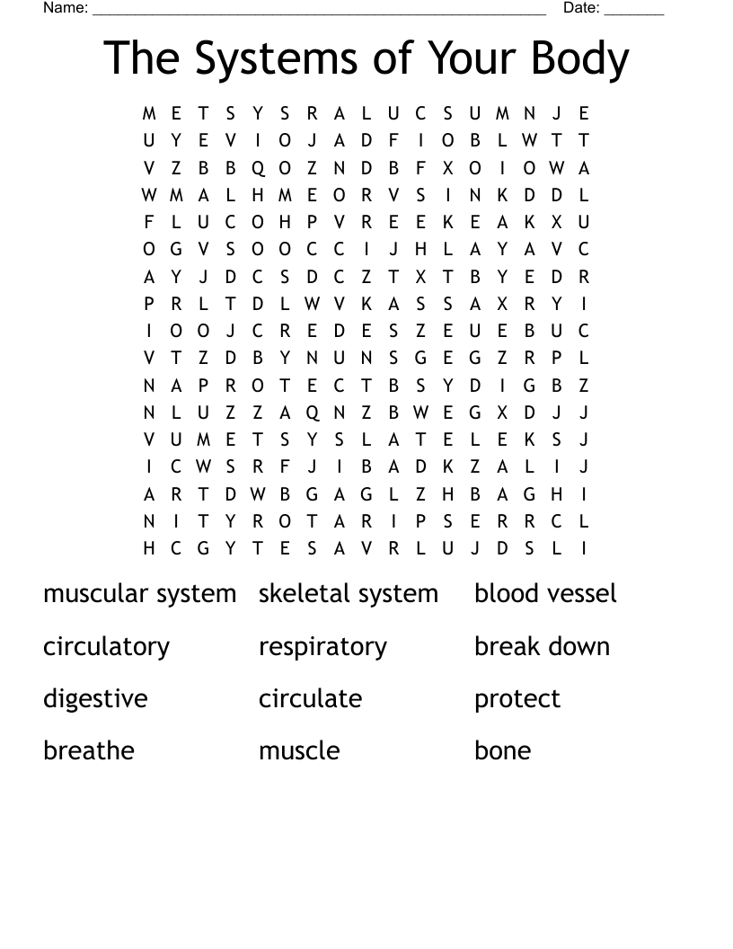 The Systems of Your Body Word Search - WordMint