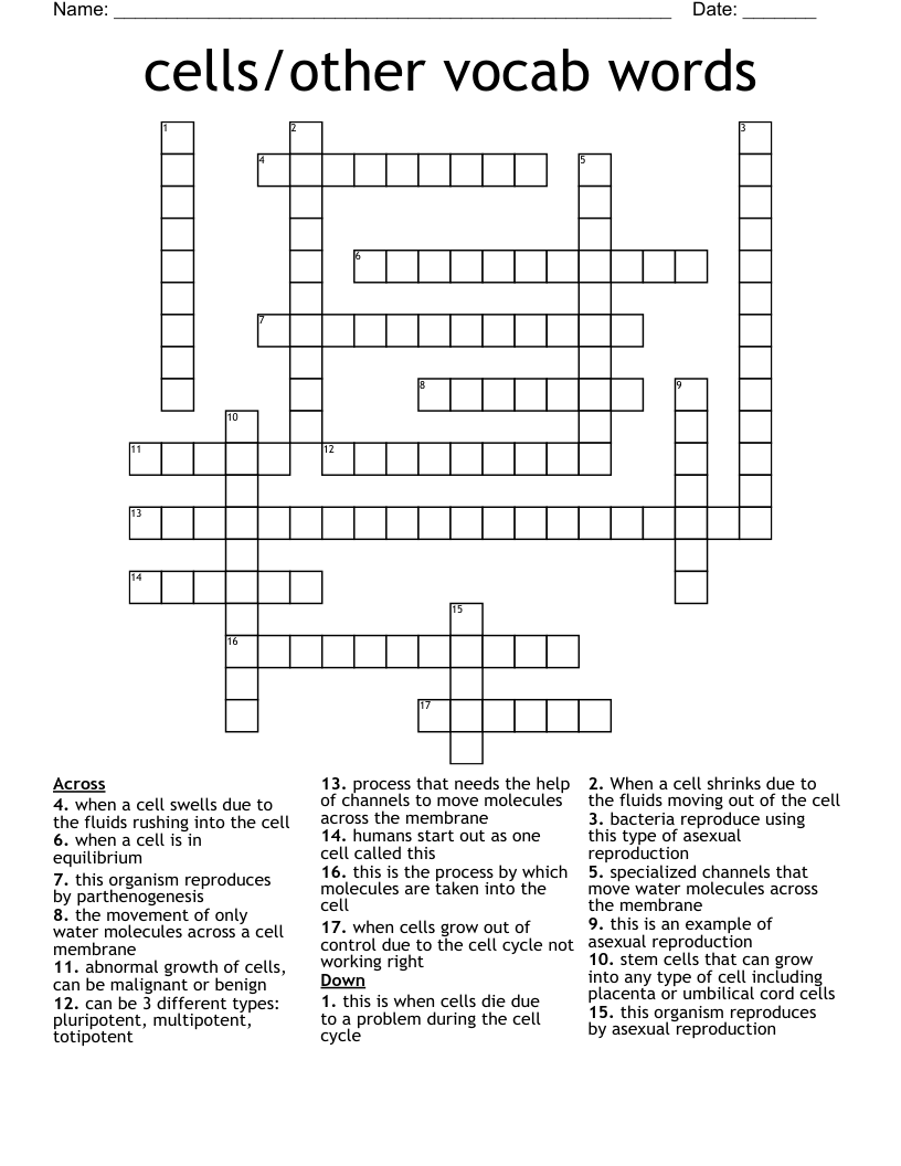 cells/other vocab words Crossword - WordMint