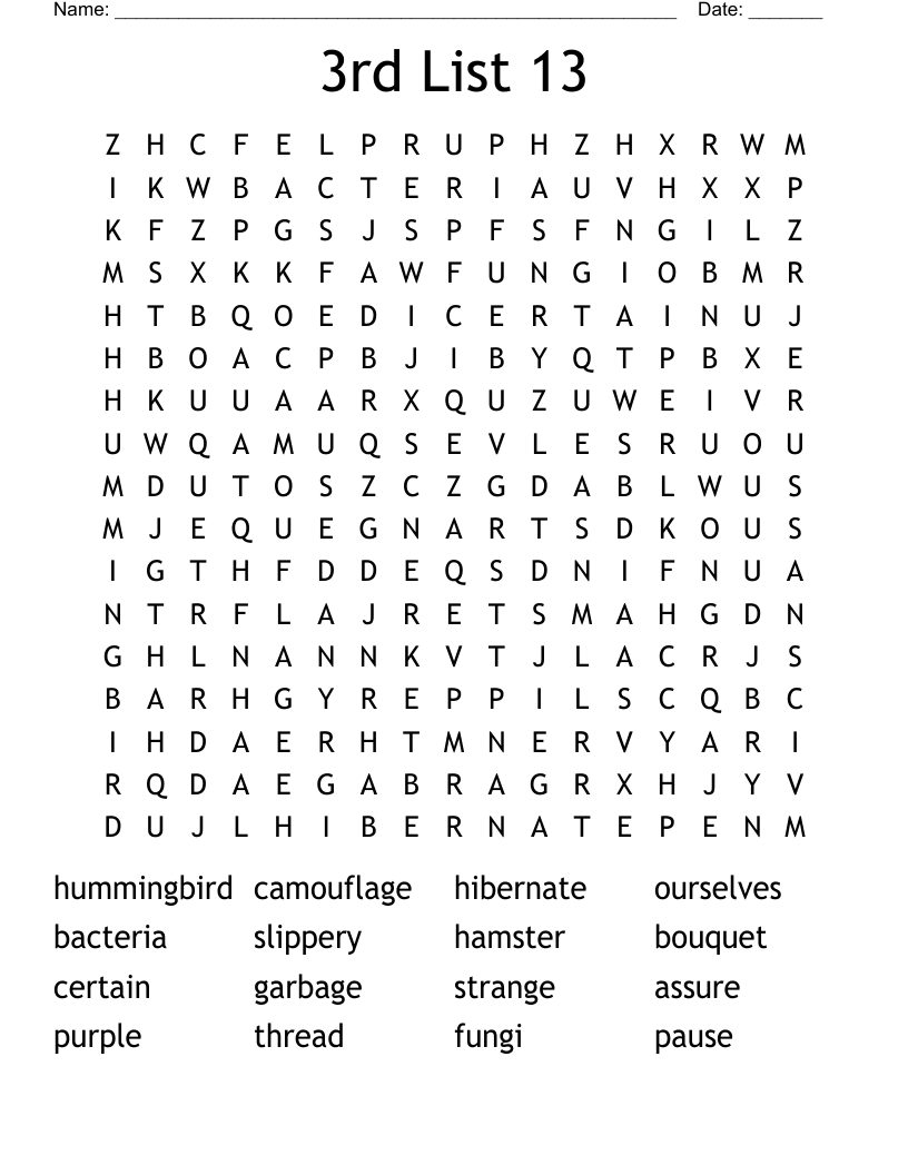 3rd List 13 Word Search - WordMint