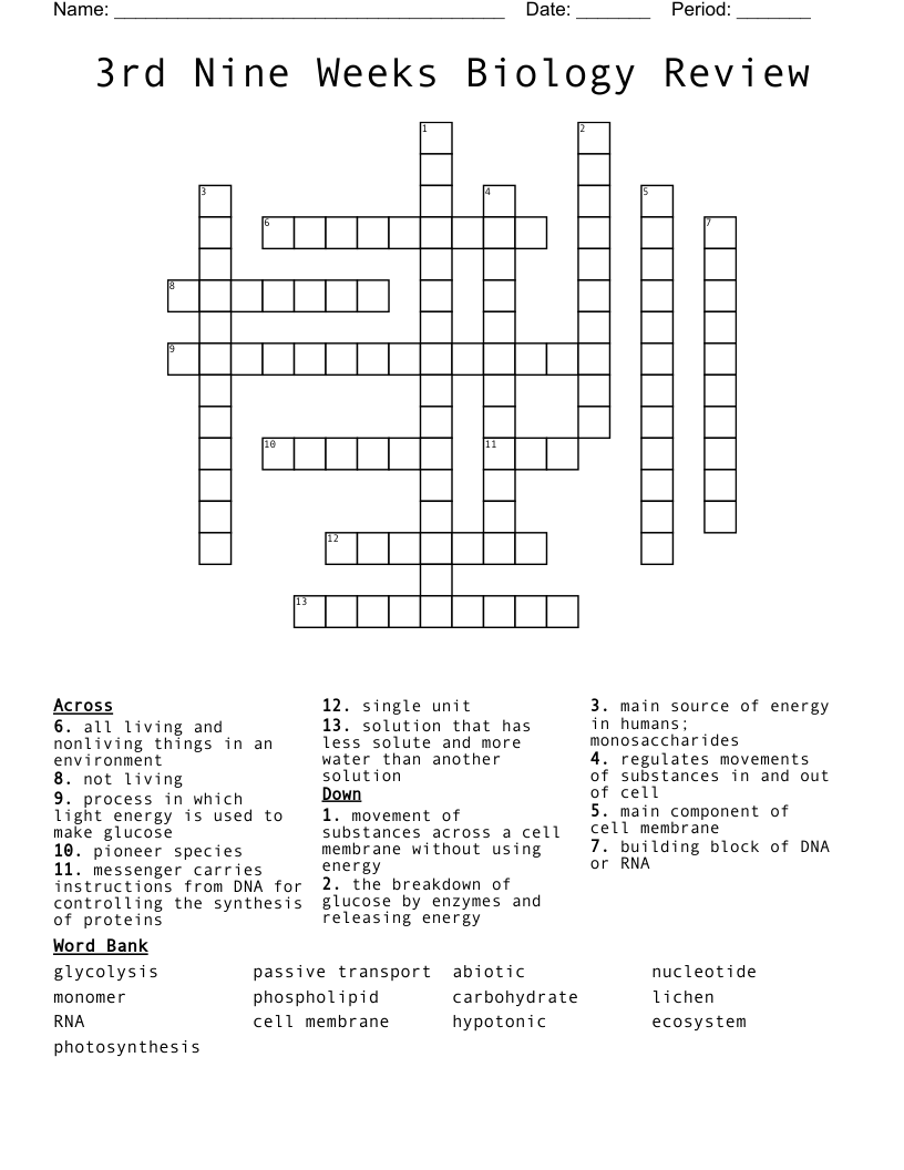 3rd Nine Weeks Biology Review Crossword - WordMint