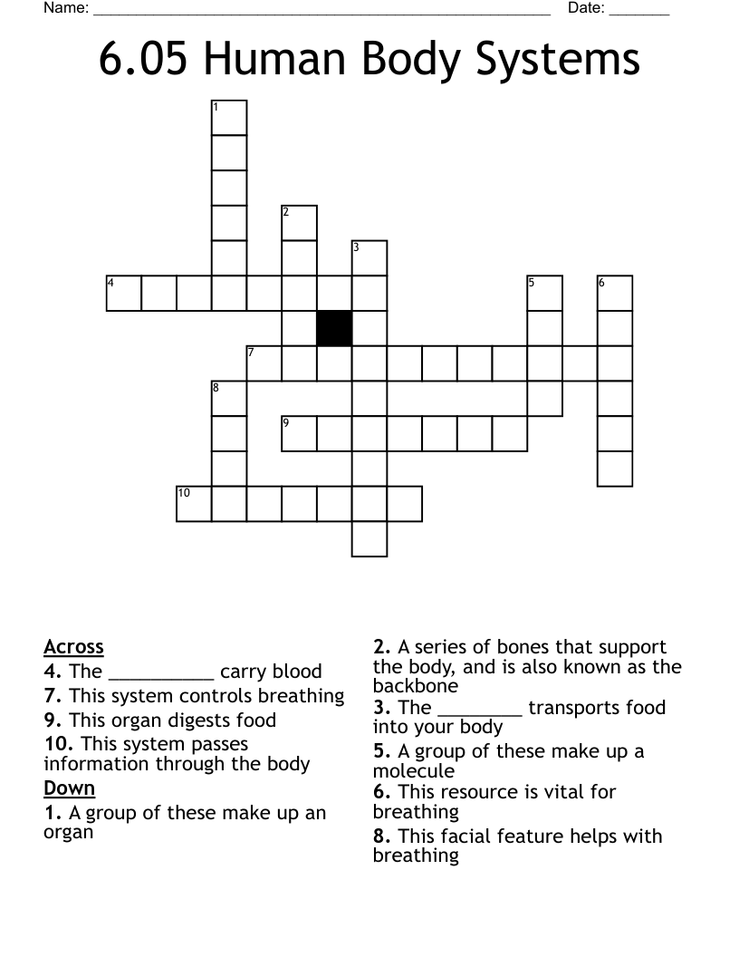 6 05 Human Body Systems Crossword WordMint 6-05-human-body-systems-crossword-wordmint