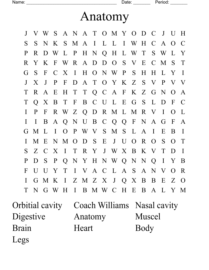 Anatomy Word Search WordMint