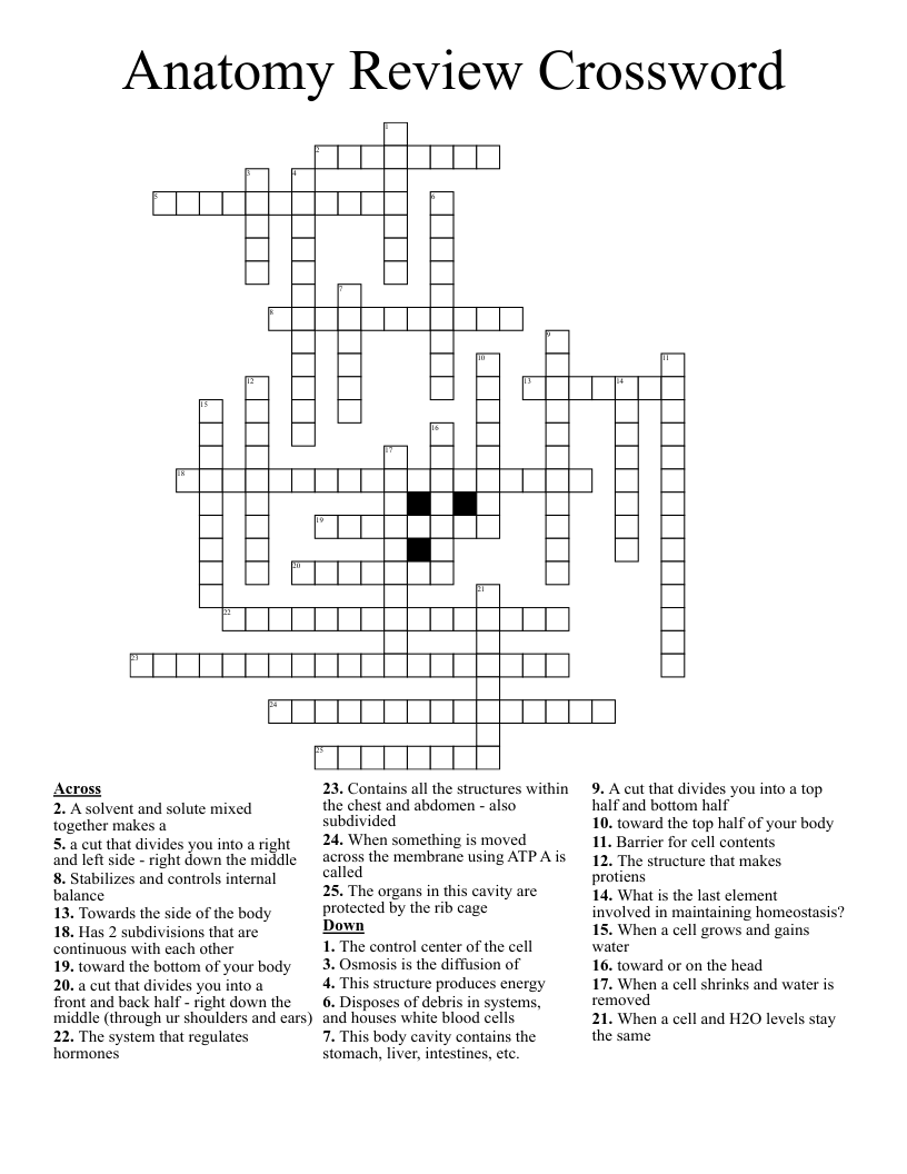 Anatomy Review Crossword - WordMint