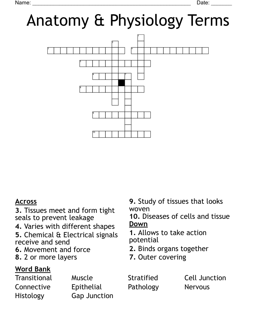 Anatomy & Physiology Terms Crossword - WordMint