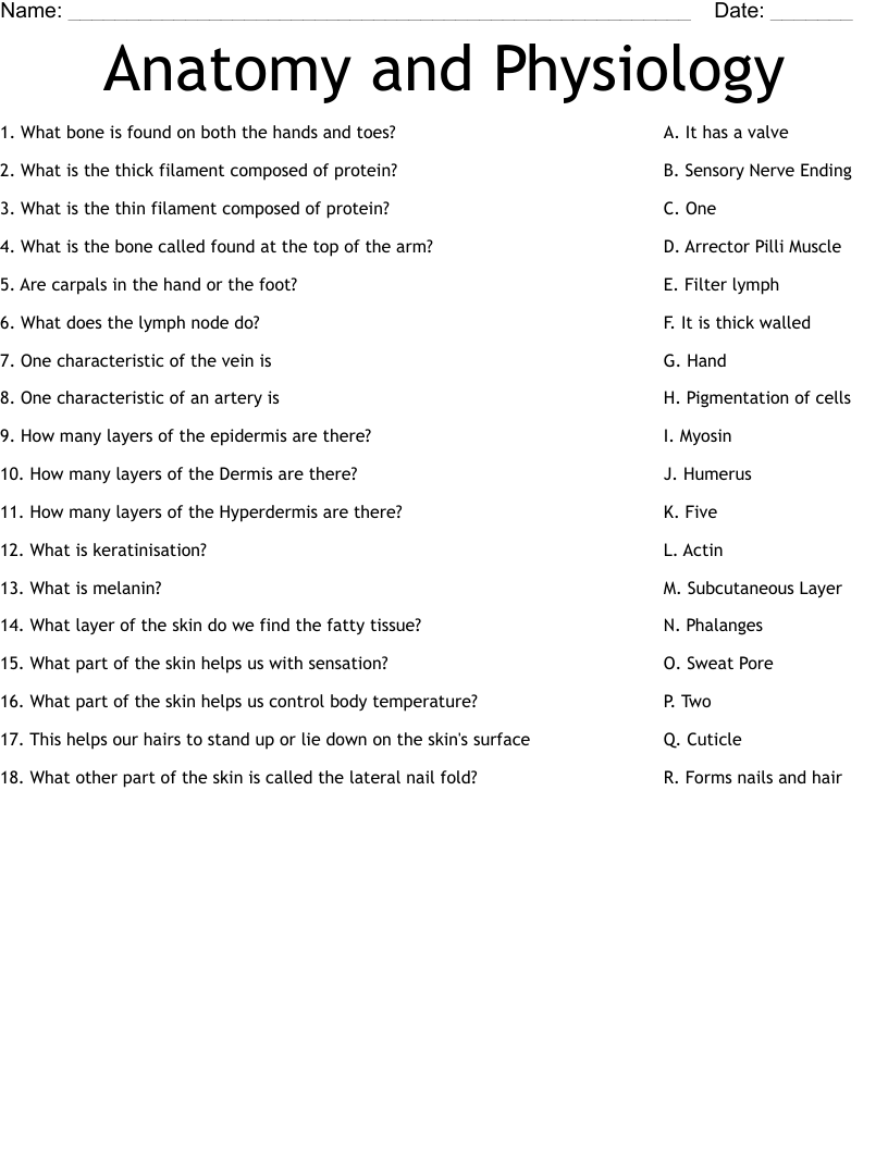 Anatomy And Physiology Worksheet WordMint