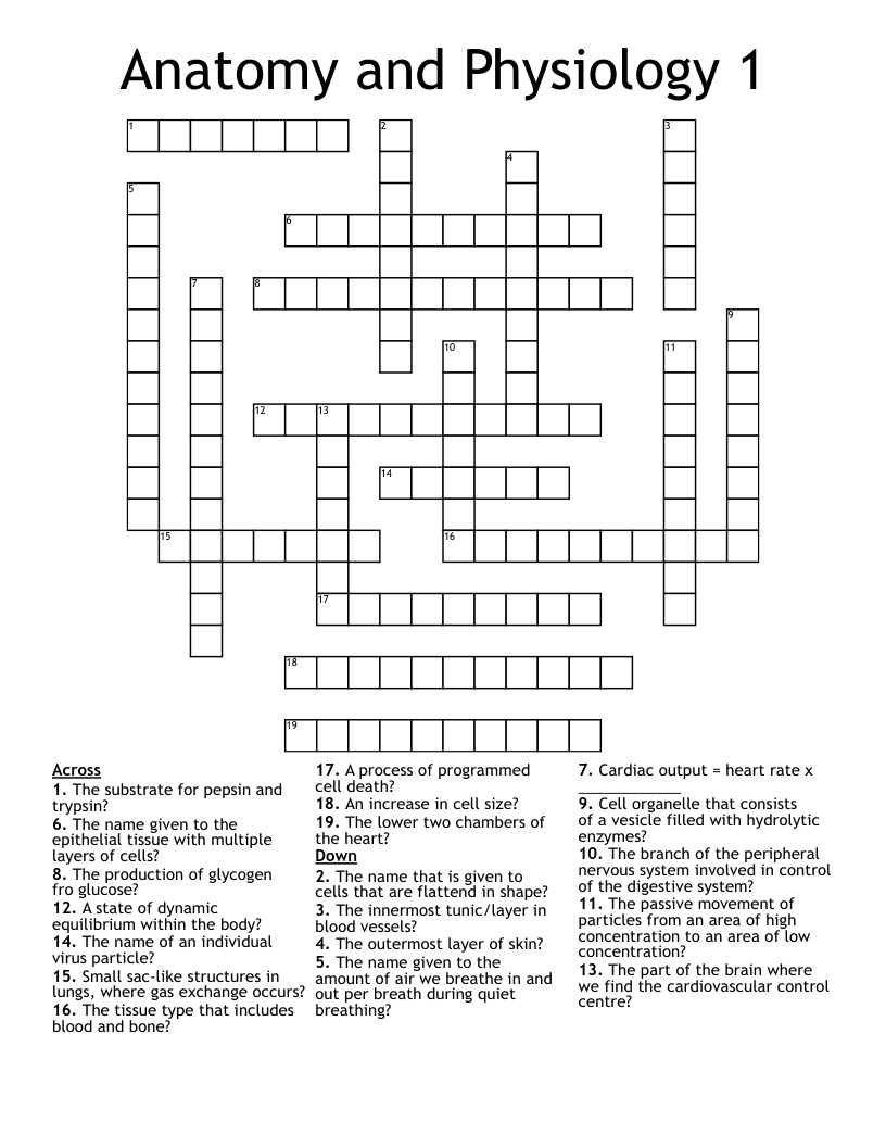 Anatomy and Physiology 1 Crossword - WordMint