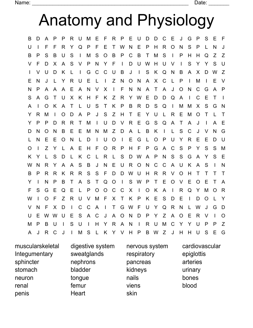 Anatomy And Physiology Word Search WordMint