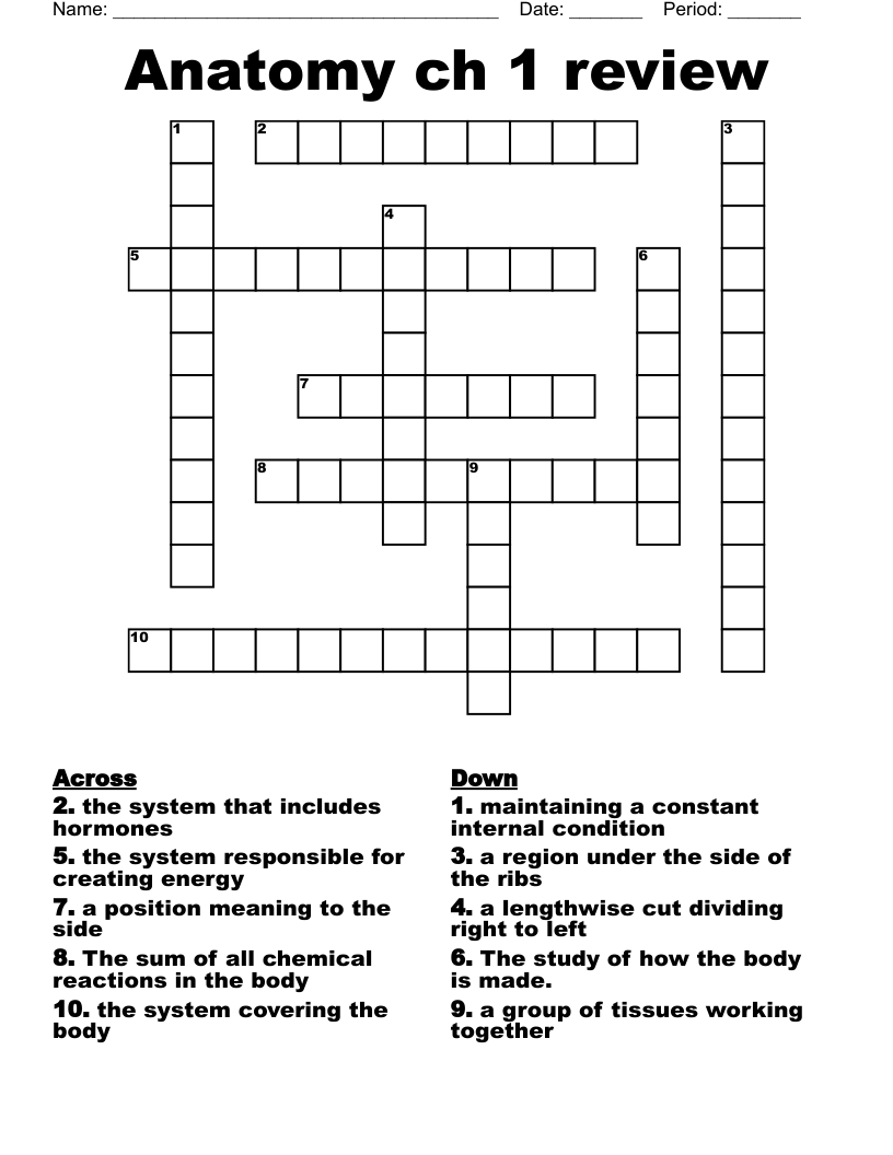 Anatomy ch 1 review Crossword - WordMint