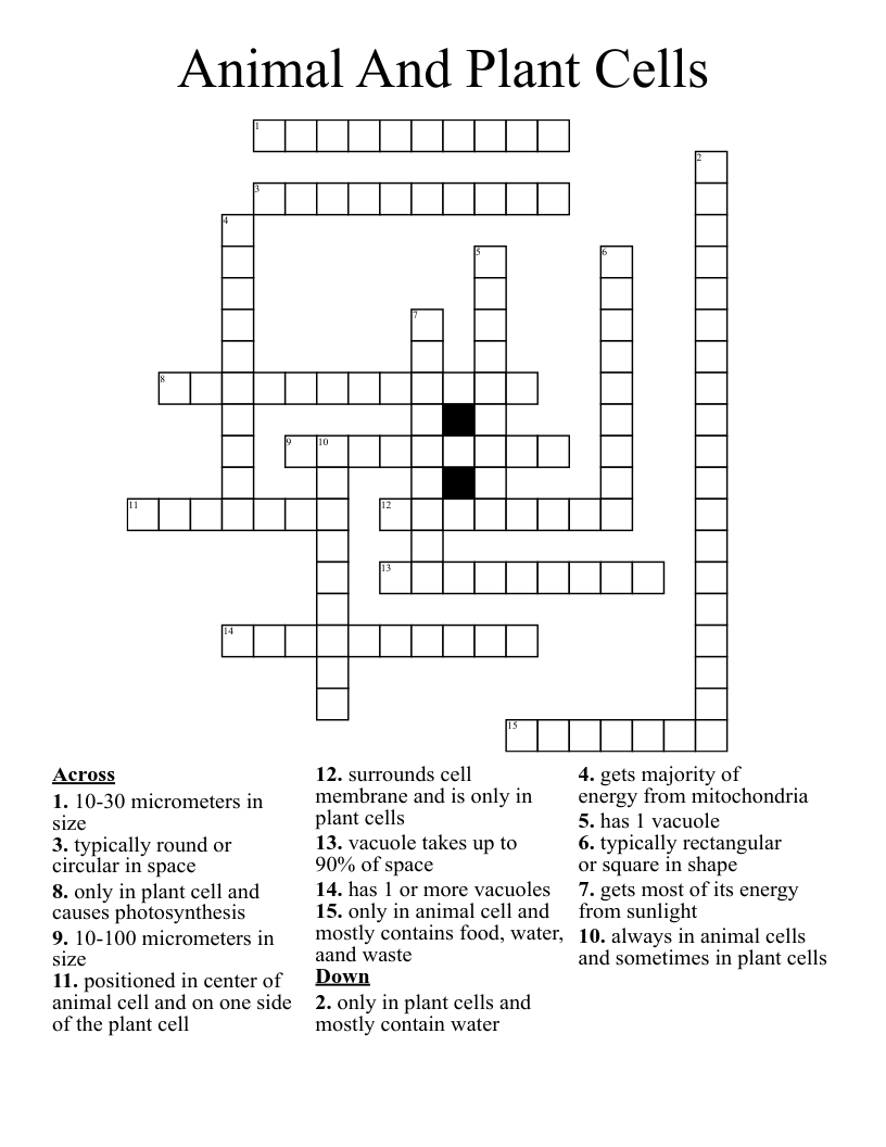 Animal And Plant Cells Crossword - WordMint