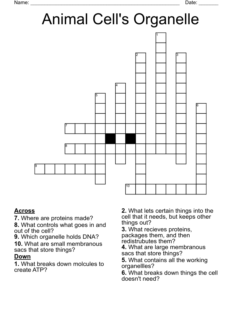 Animal Cell's Organelle Crossword - WordMint
