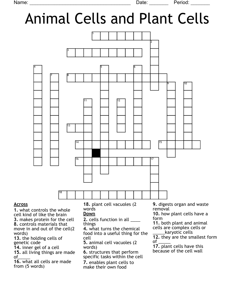 Animal Cells and Plant Cells Crossword - WordMint