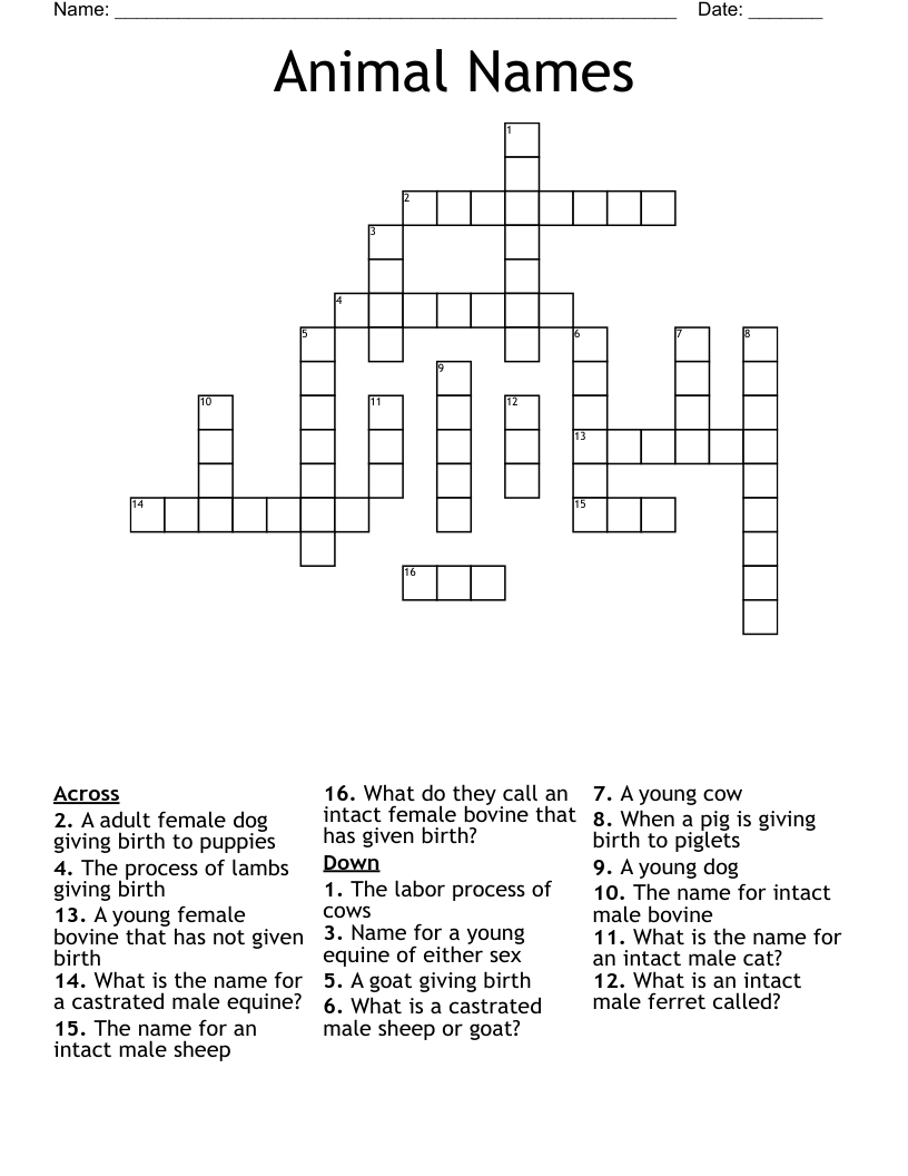 Animal Names Crossword - WordMint