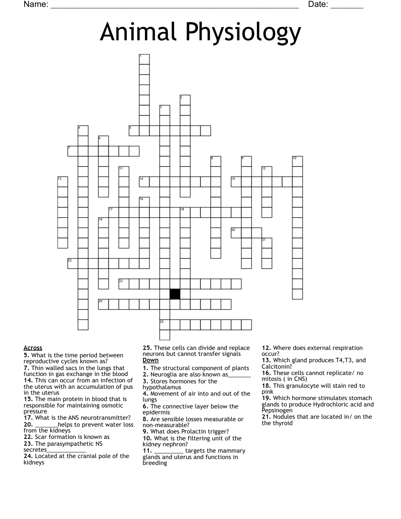 Animal Physiology Crossword - WordMint
