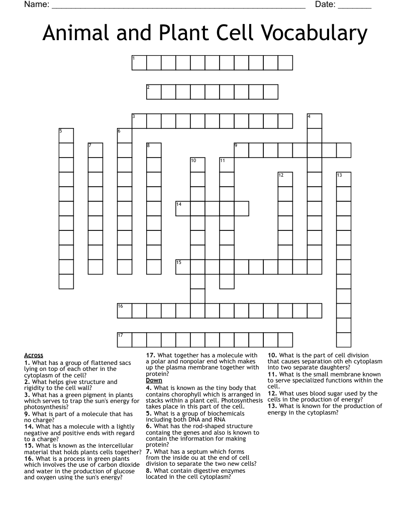 Animal and Plant Cell Vocabulary Crossword - WordMint