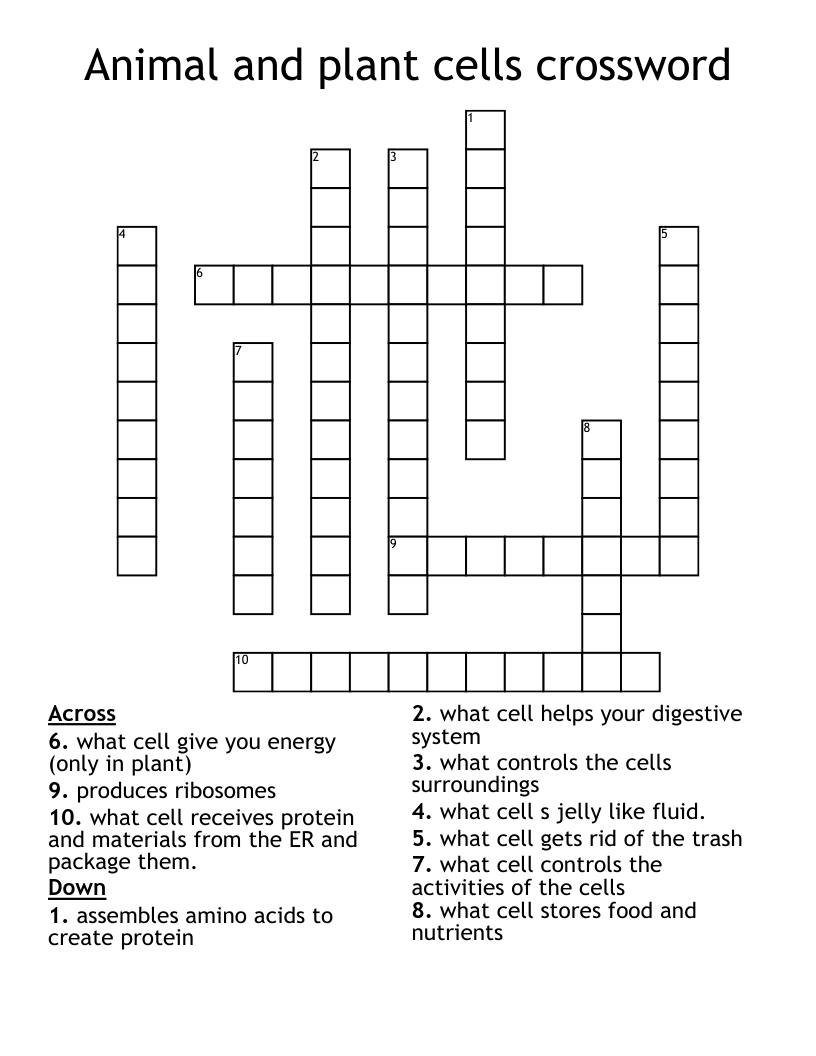 Animal and plant cells crossword - WordMint