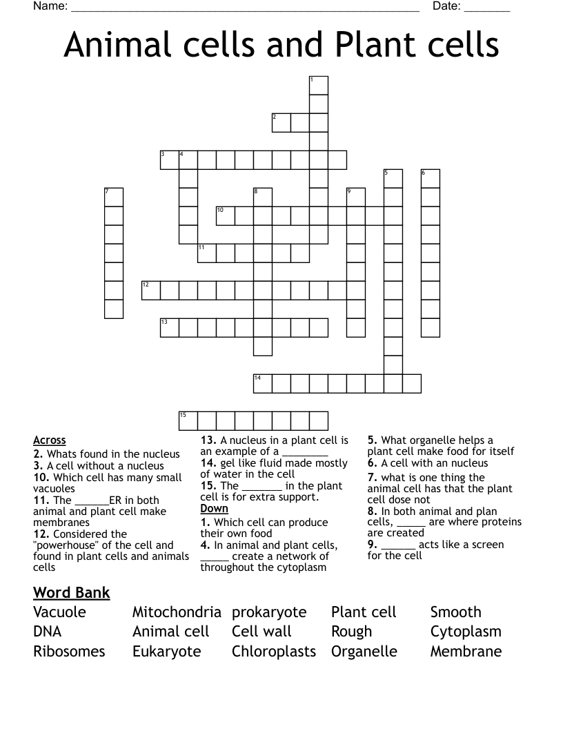 Animal cells and Plant cells Crossword - WordMint