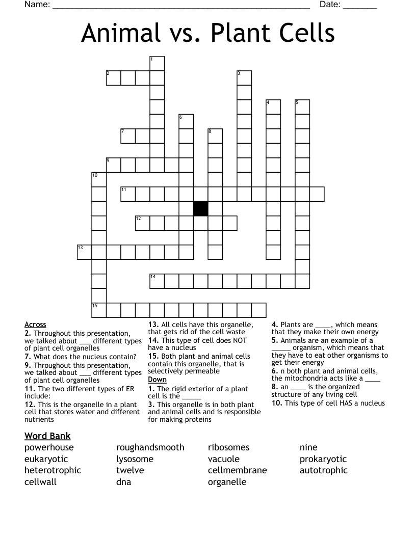 Animal vs. Plant Cells Crossword - WordMint