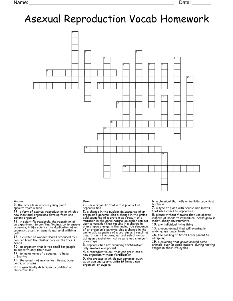 Asexual Reproduction Vocab Homework Crossword - WordMint