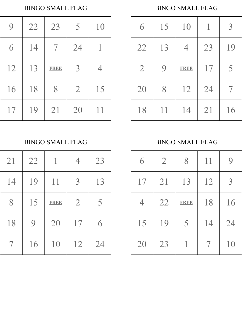 BINGO SMALL FLAG - WordMint