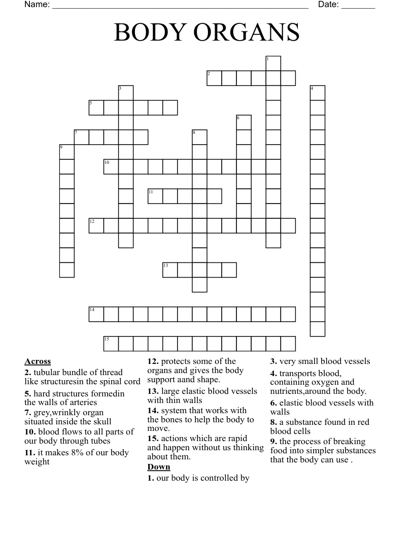 BODY ORGANS Crossword - WordMint